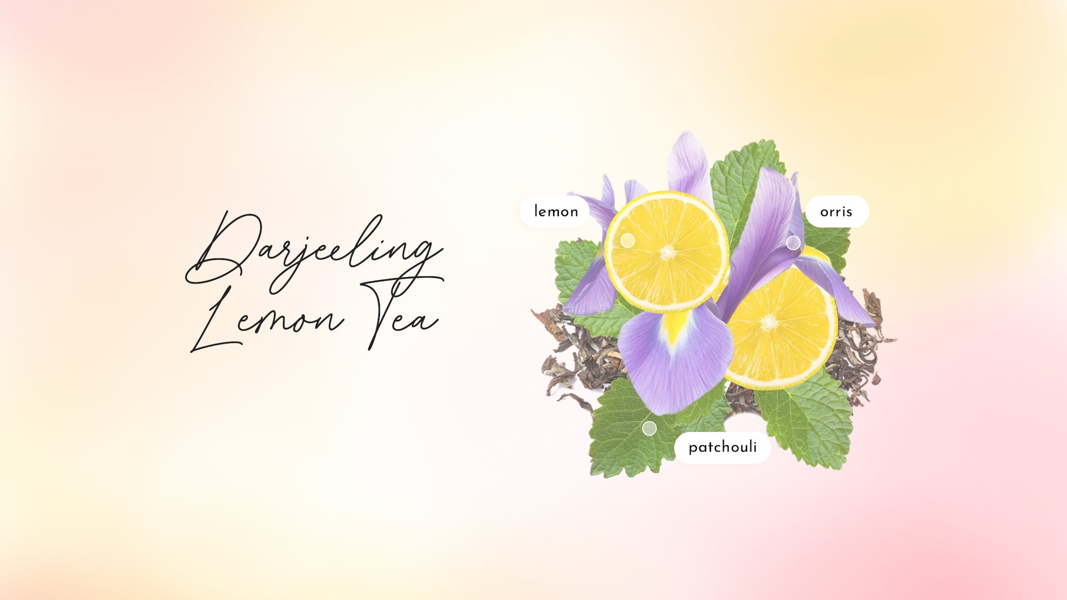 Laundrin Fabric Refresher Darjeeling Lemon Tea | LAUNDRIN